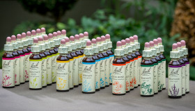 Health Naturally | Health, Naturally! | Specializing in therapeutic ...